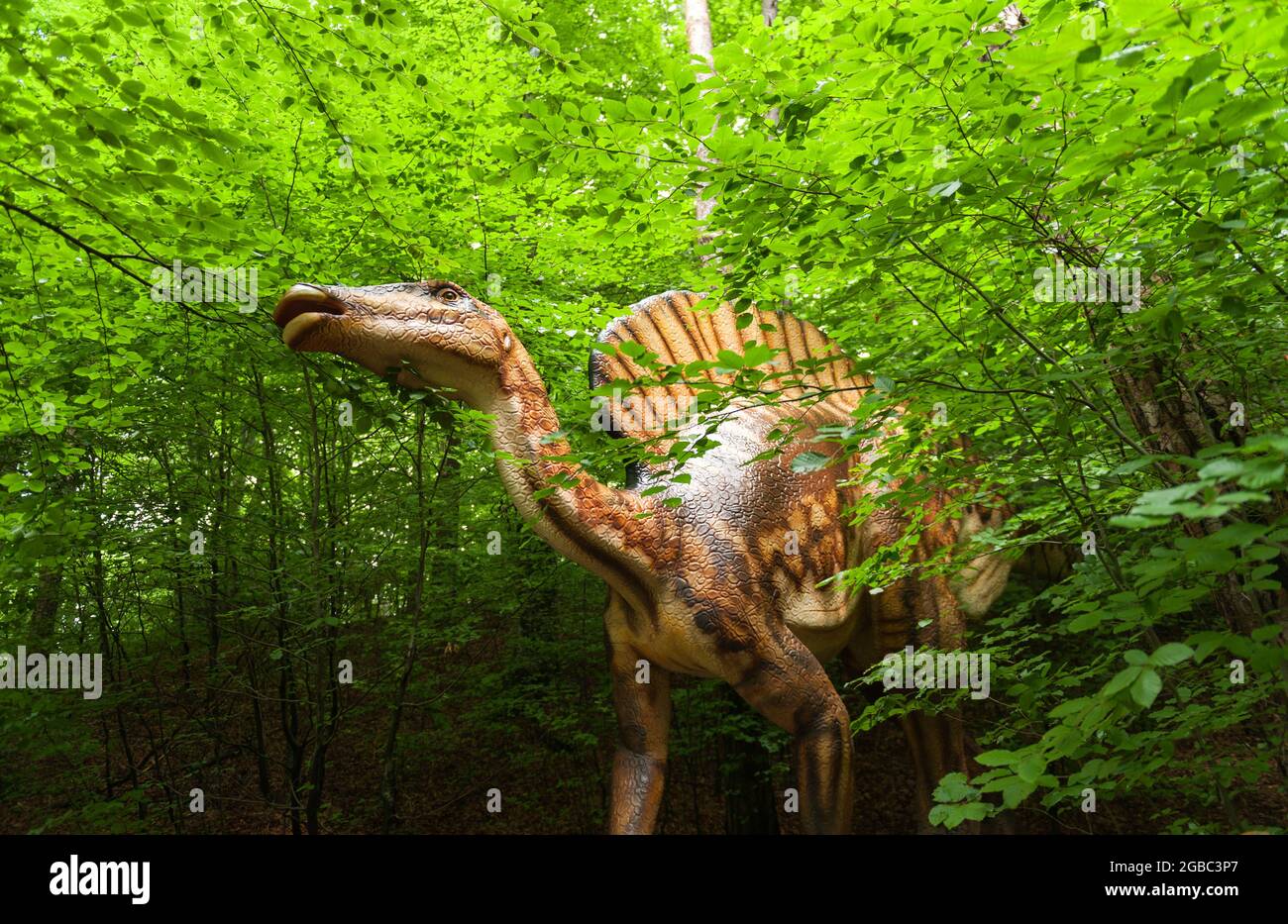 Rasnov, Romania - July 6 2021 - Rasnov Dino Parc Stock Photo - Alamy