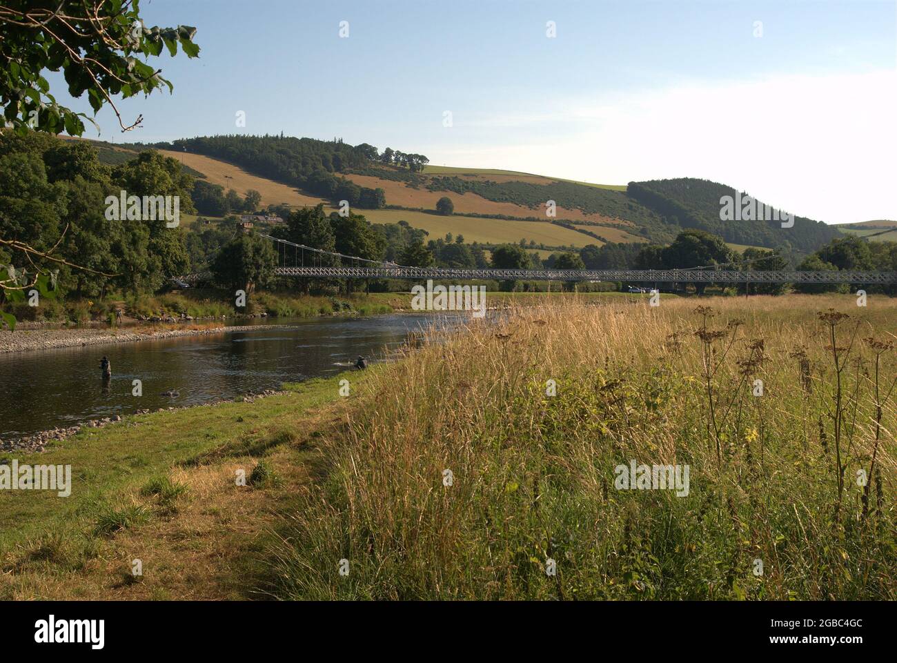 salmon fishing by chainbridge on River Tweed at Melrose Stock Photo - Alamy