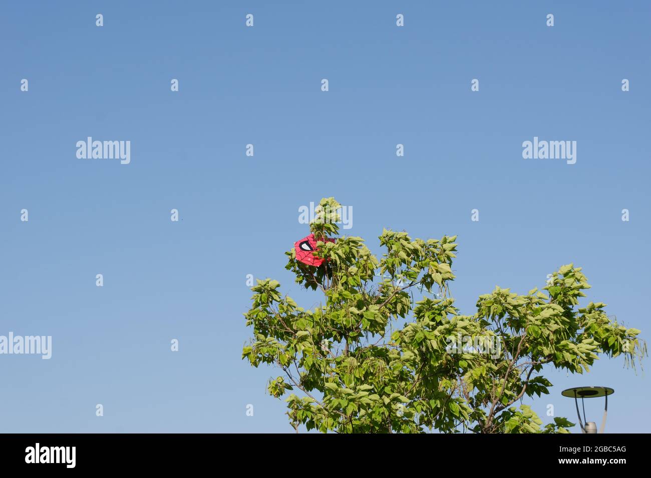 Stuck in the box hi-res stock photography and images - Alamy