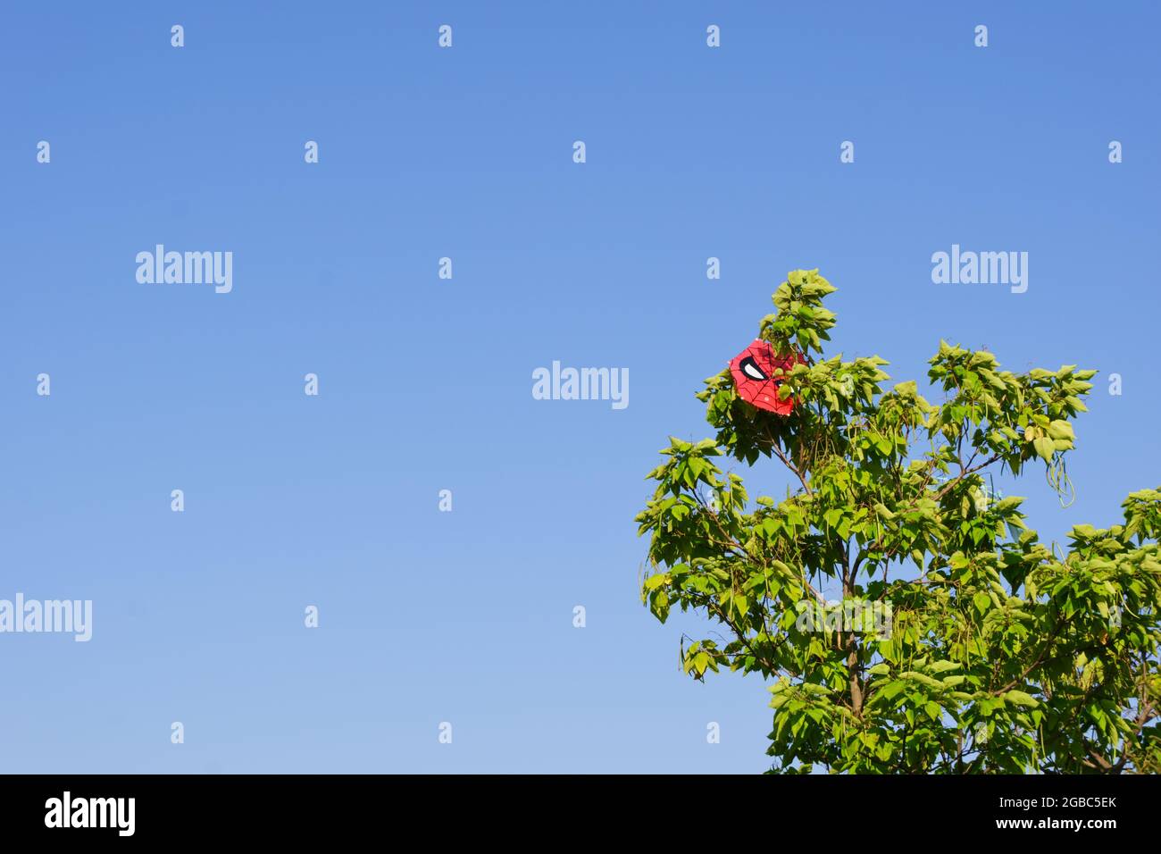Kite in tree hi-res stock photography and images - Alamy