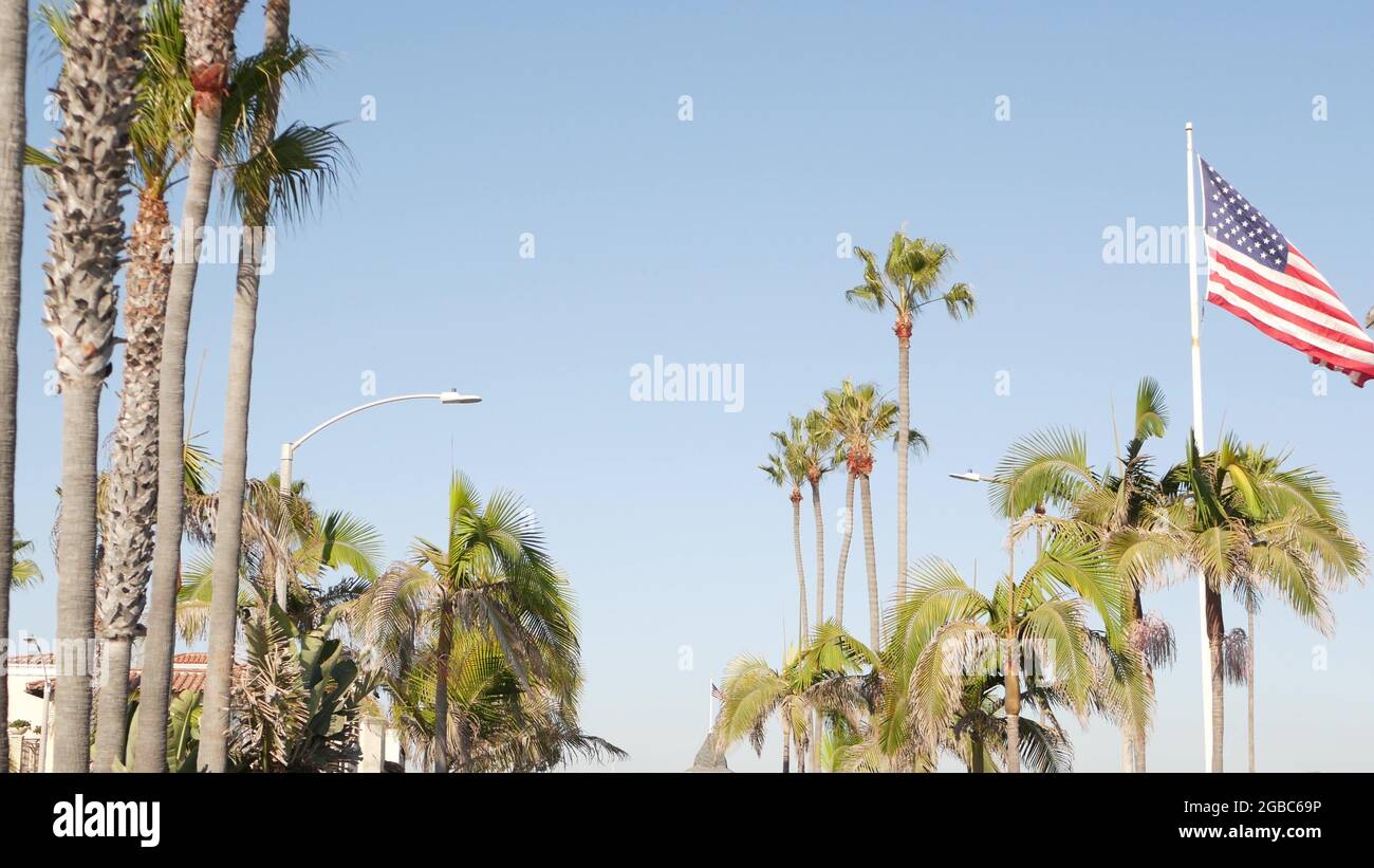 Palms and american flag, Los Angeles, California USA. Summertime ...