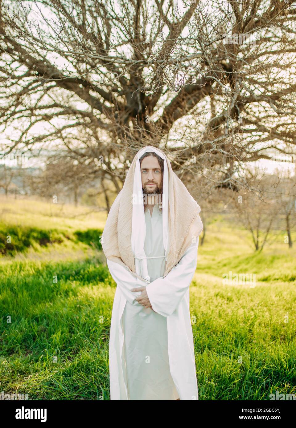 Jesus Christ standing in meadow clothed in his traditional white robe ...