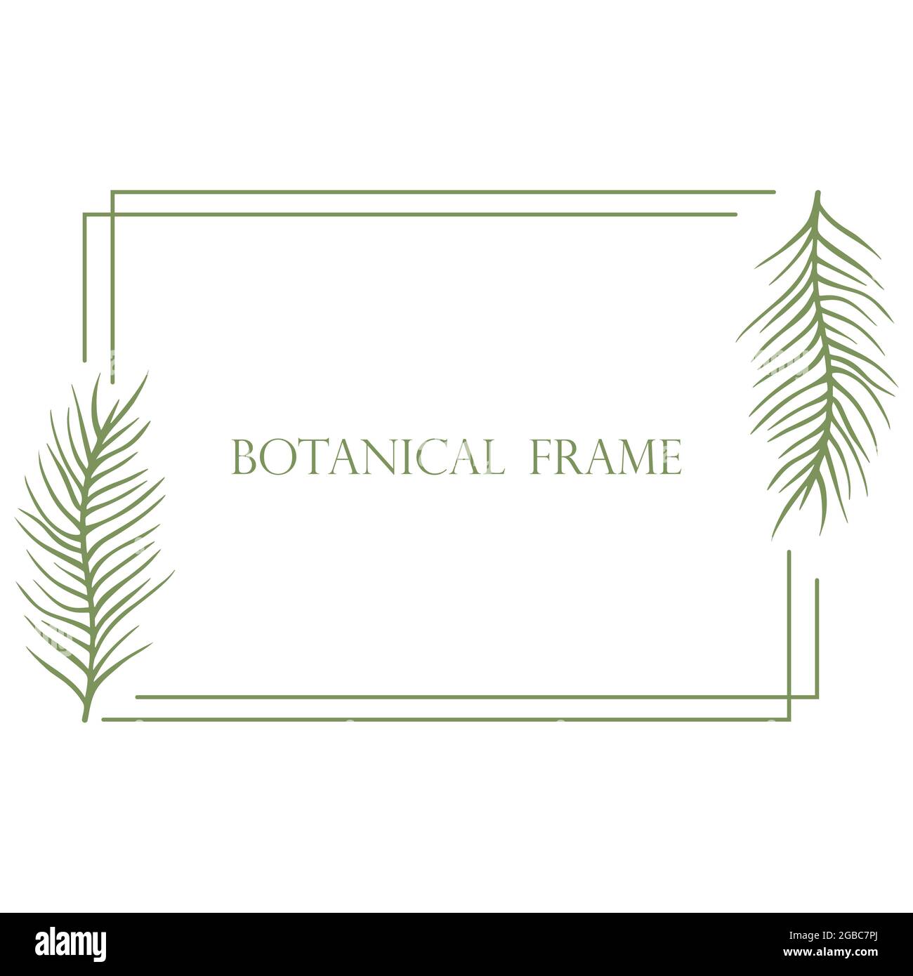Simple Rectangle Frame Vector
