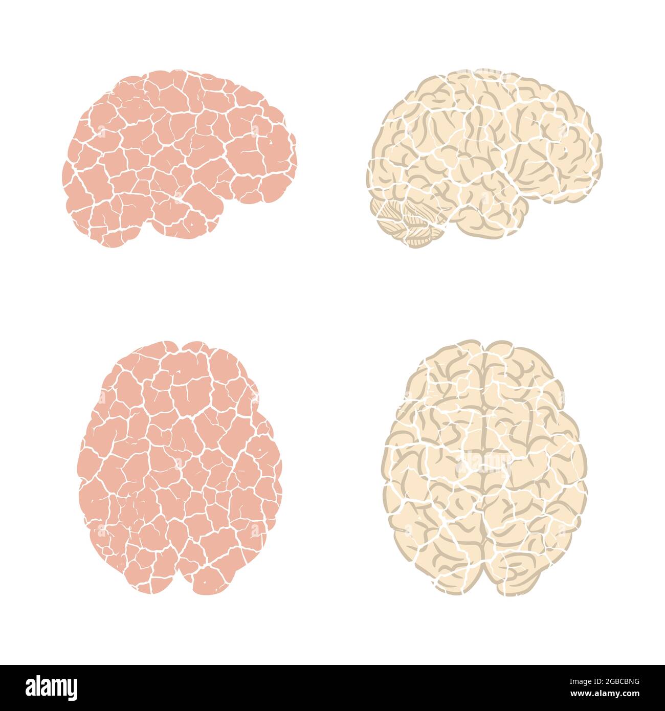 Cracked brain hi-res stock photography and images - Alamy
