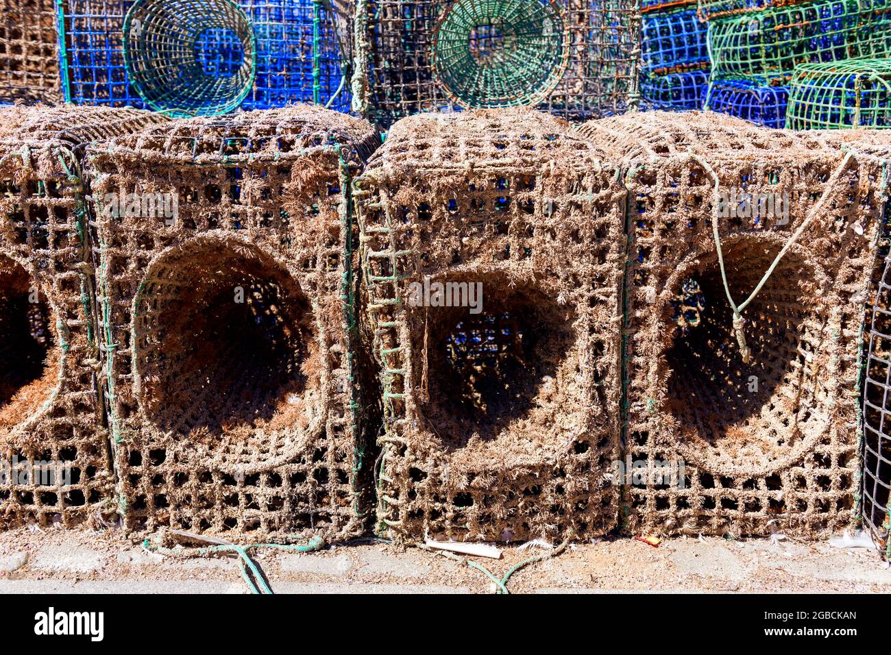 Octopus trap hi-res stock photography and images - Alamy