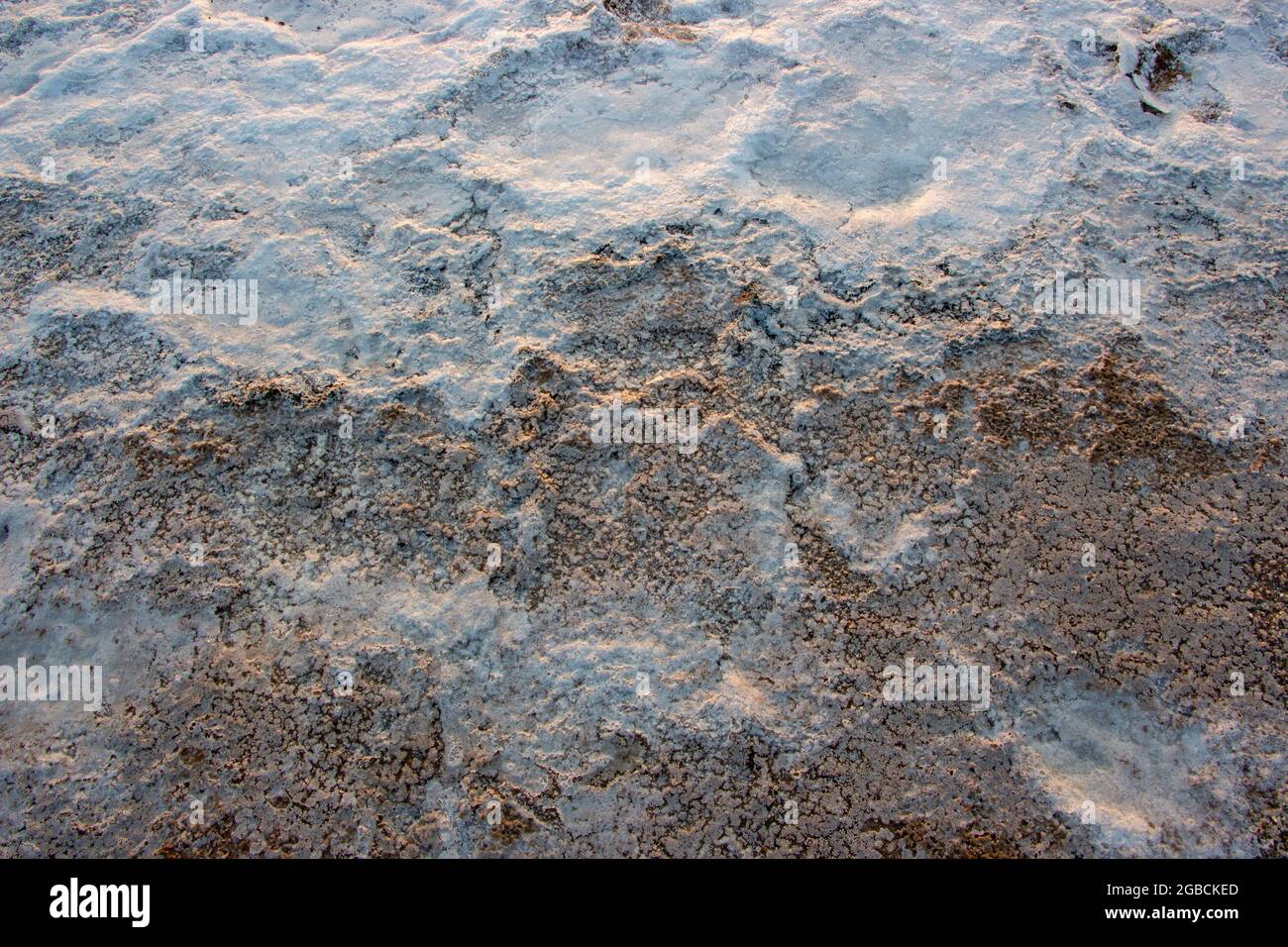 Salty sea shore.Texture of sea salt farm is the place with so much sea ...