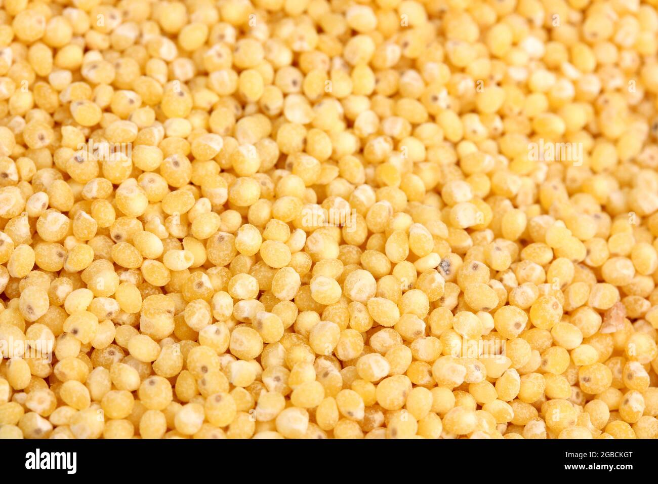 Pilled millet seeds as texture Stock Photo - Alamy