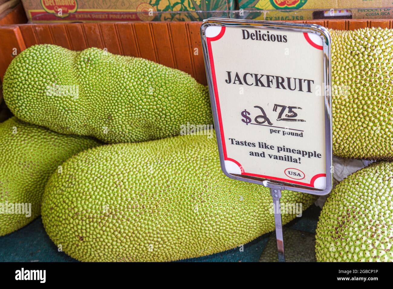 Florida jackfruit hi-res stock photography and images - Alamy