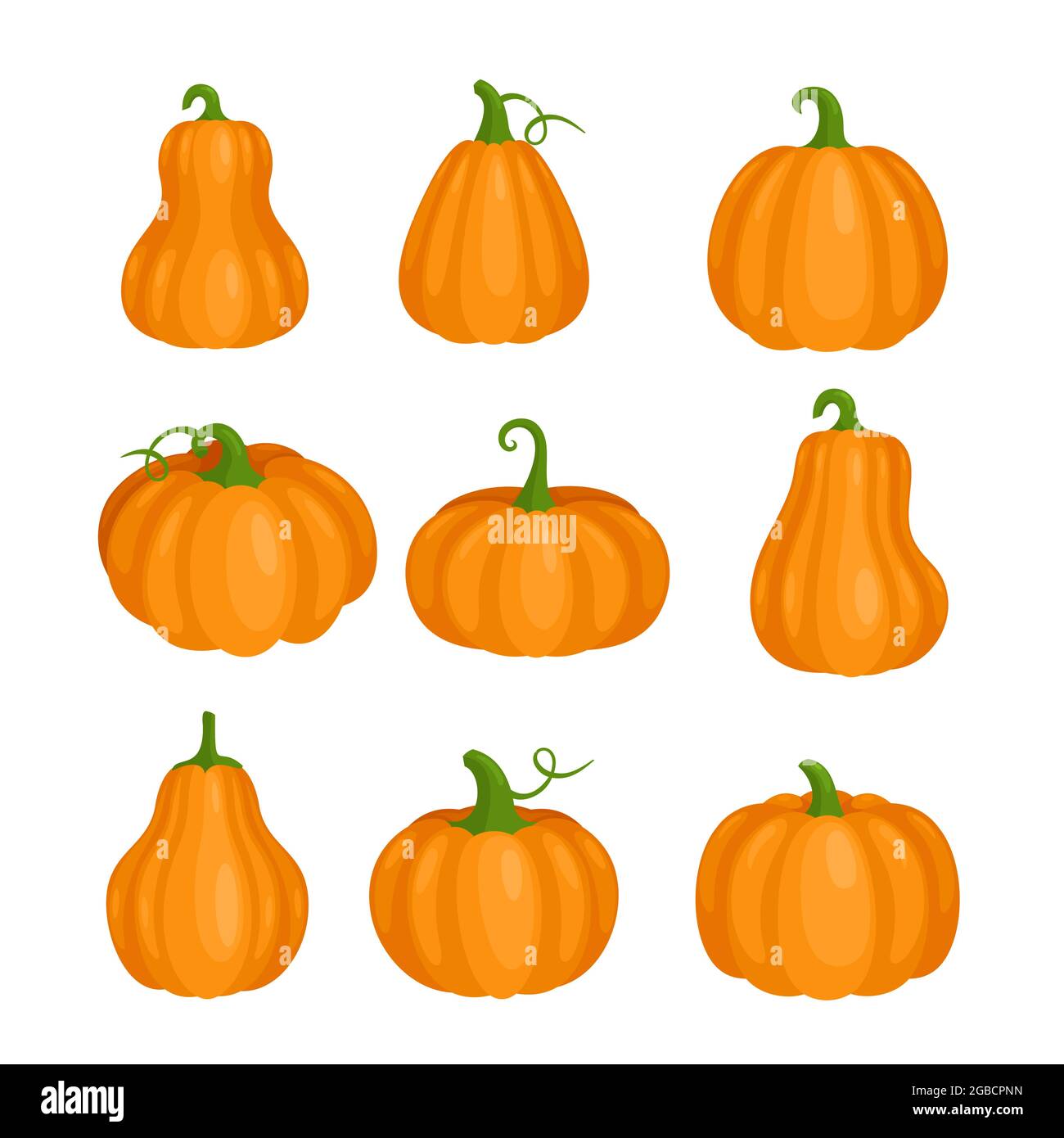 Squash Vegetable Clip Art