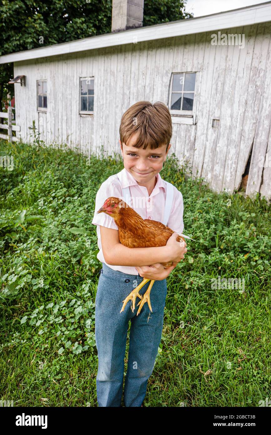 Indiana shipshewana amish farm tour hi-res stock photography and images ...