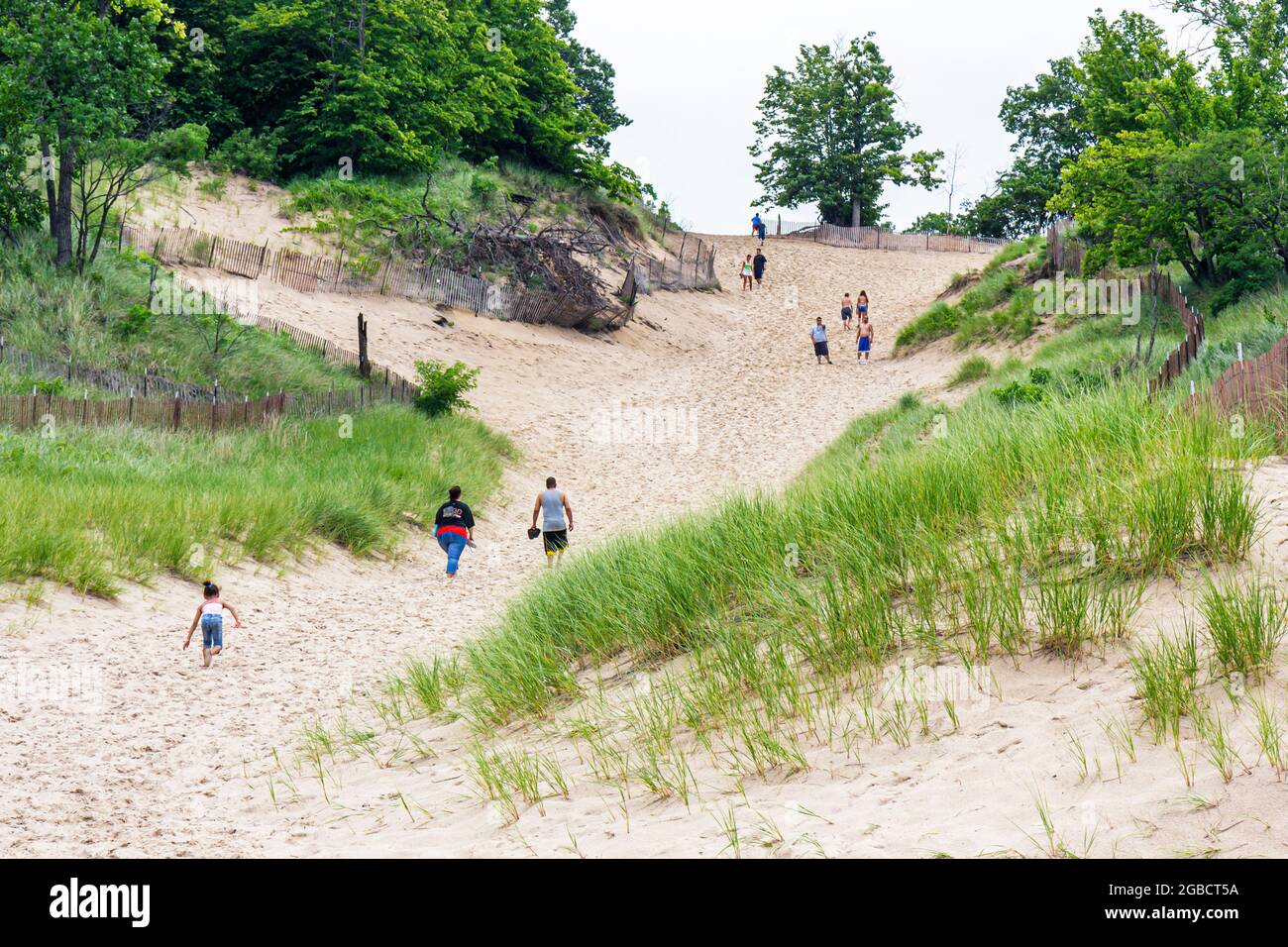 Indiana Chesterton,Indiana Dunes State Park along Lake Michigan,Devil's ...