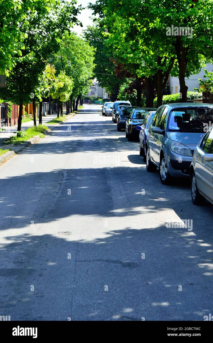 Car parked under trees hi-res stock photography and images - Alamy