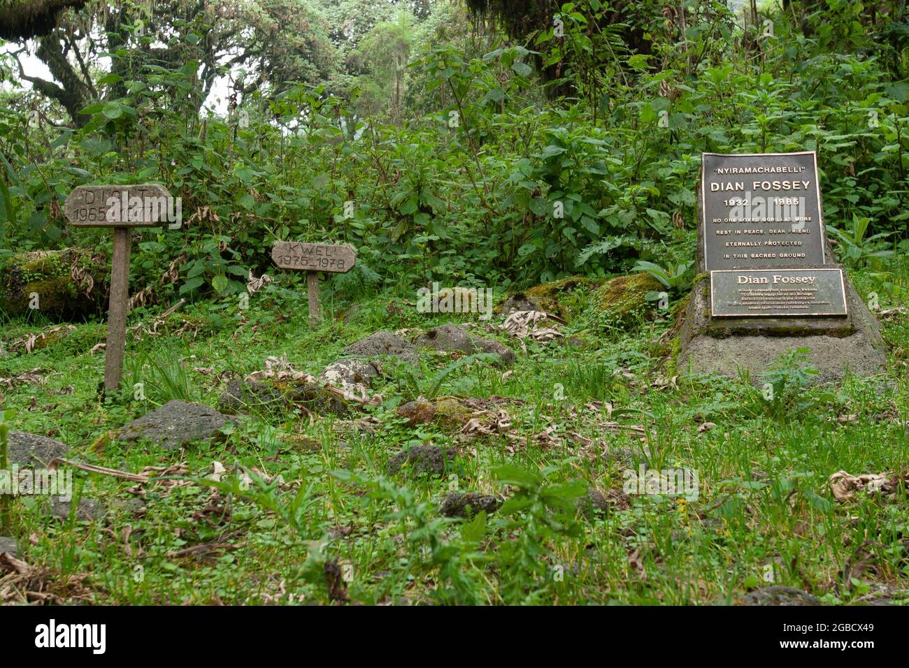 Rwanda - Volcanoes National park - august 2008 - Dian Fossey's grave ...