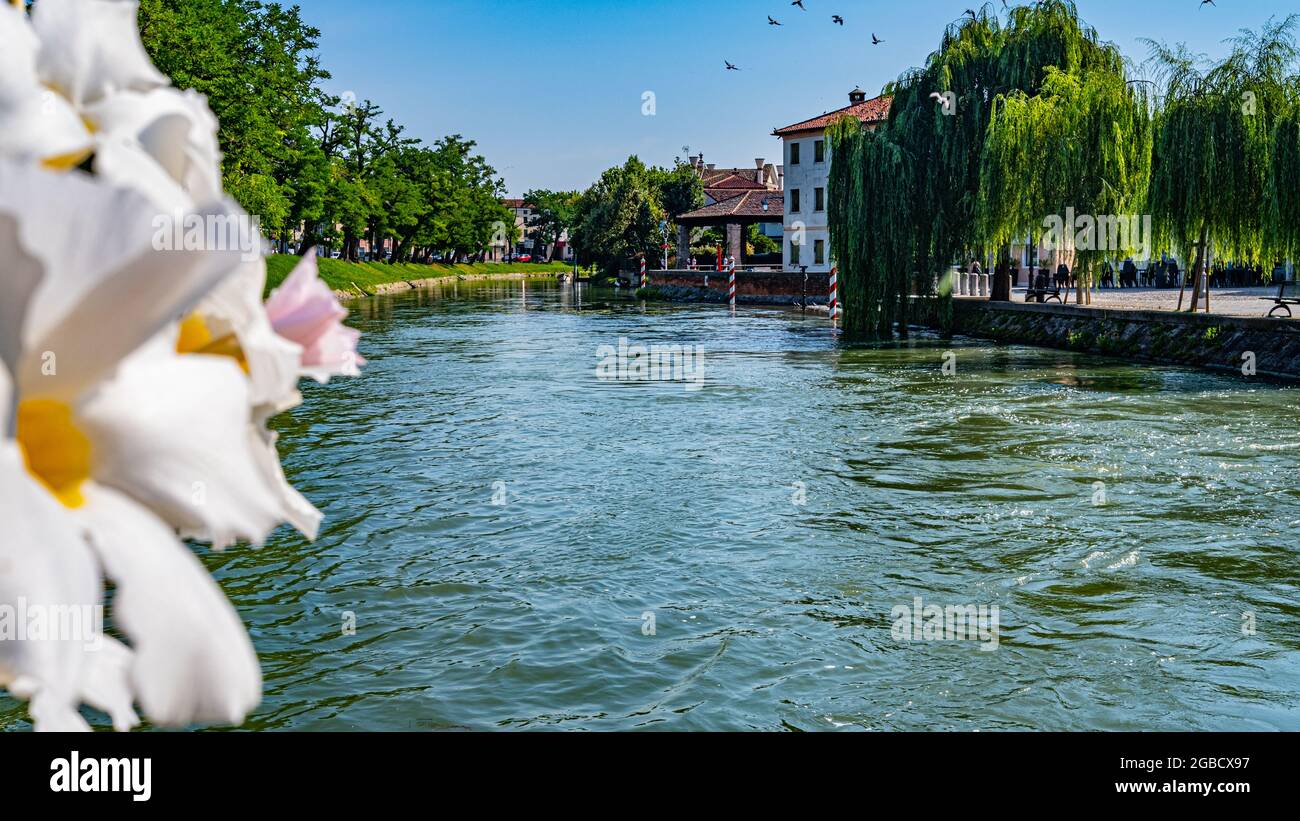 water canal, houses, flowers, trees in Dolo, Venice. Italy Stock Photo ...