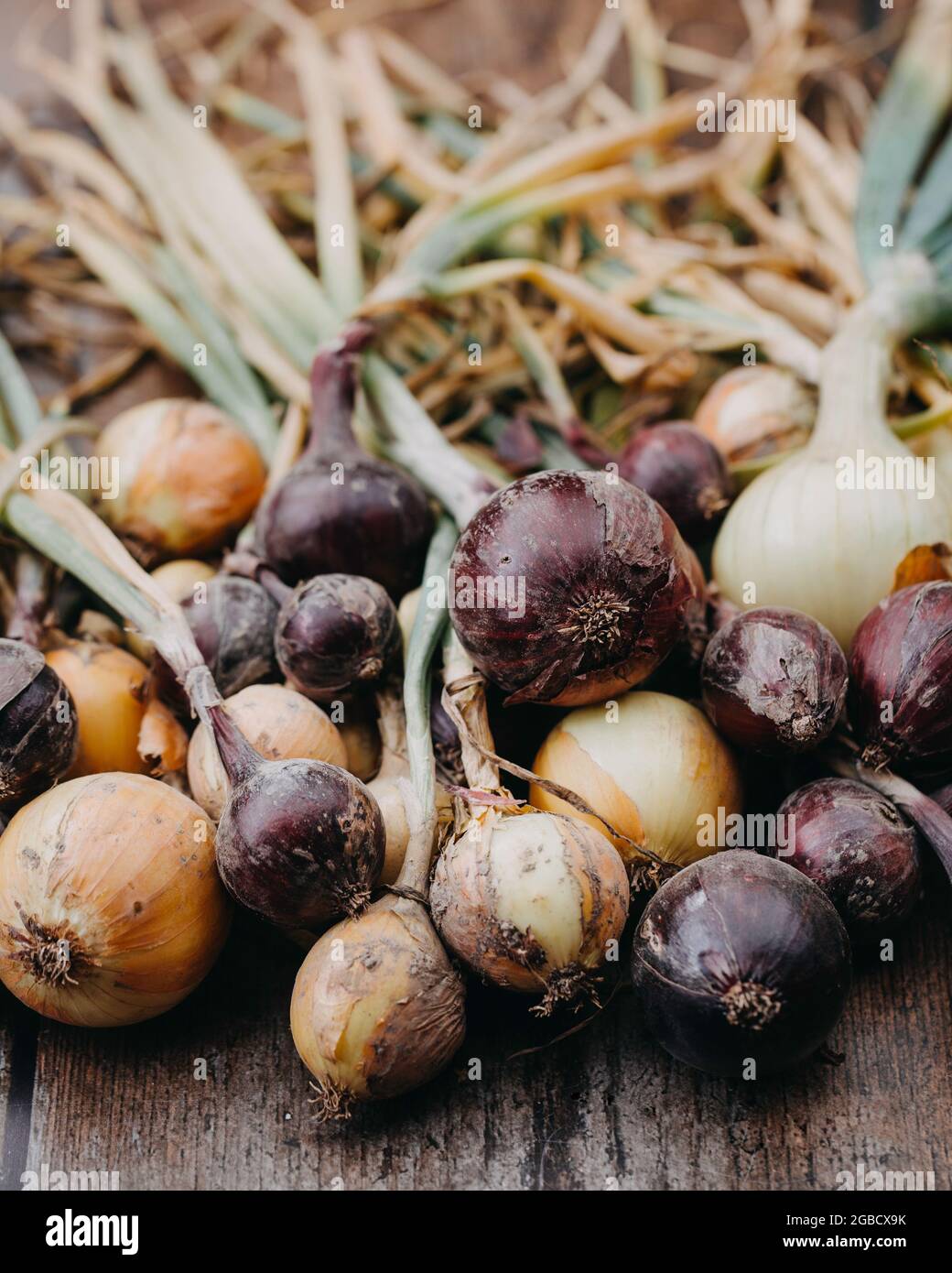 Sulfenic acid hi-res stock photography and images - Alamy