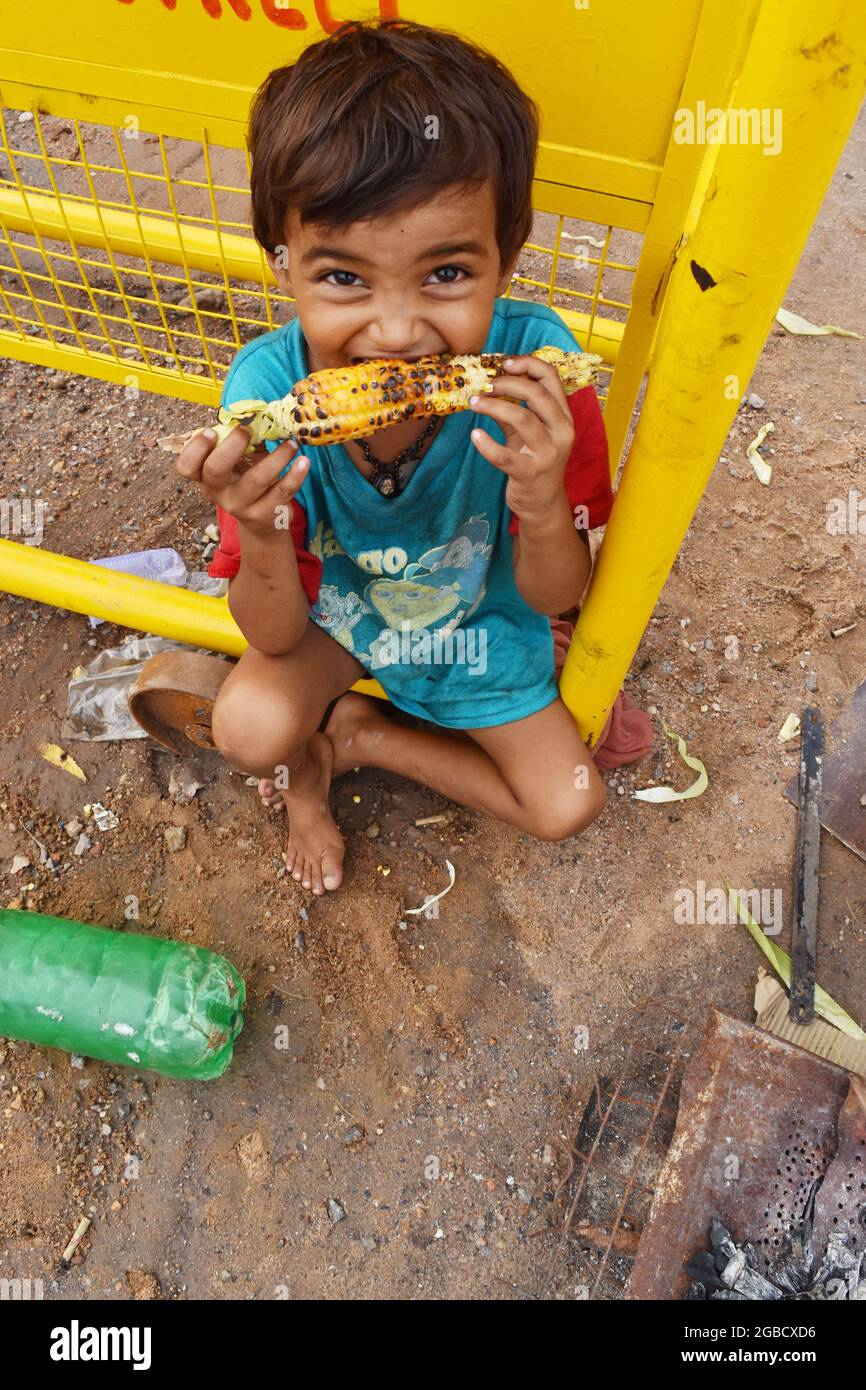 Indian india sweet corn hi-res stock photography and images - Alamy