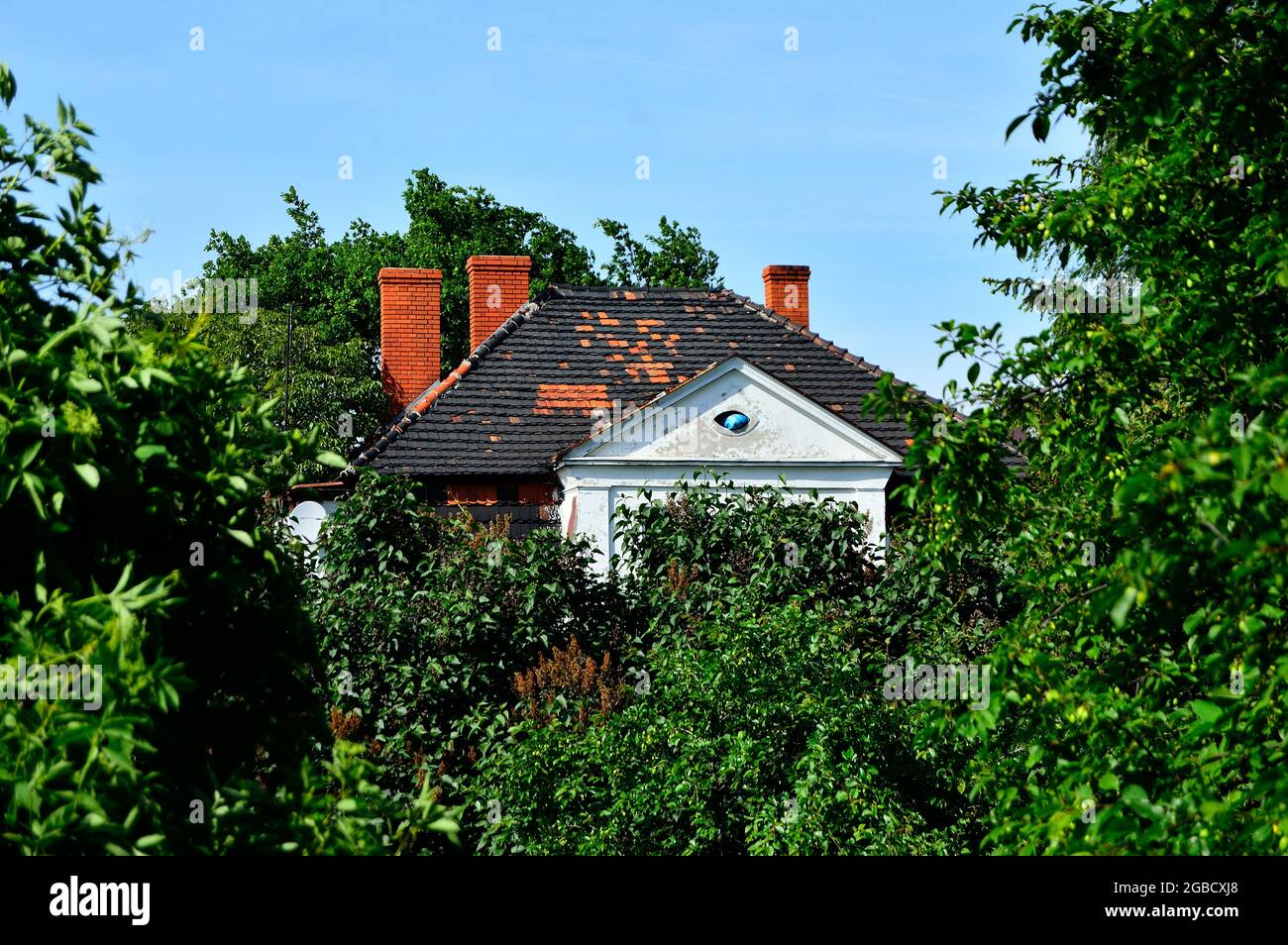 House among trees, blue cloudless sky in the background. Summer Stock ...