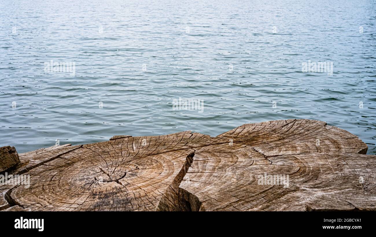 cut tree trunk and lake water at the bottom. wood and water Stock Photo ...