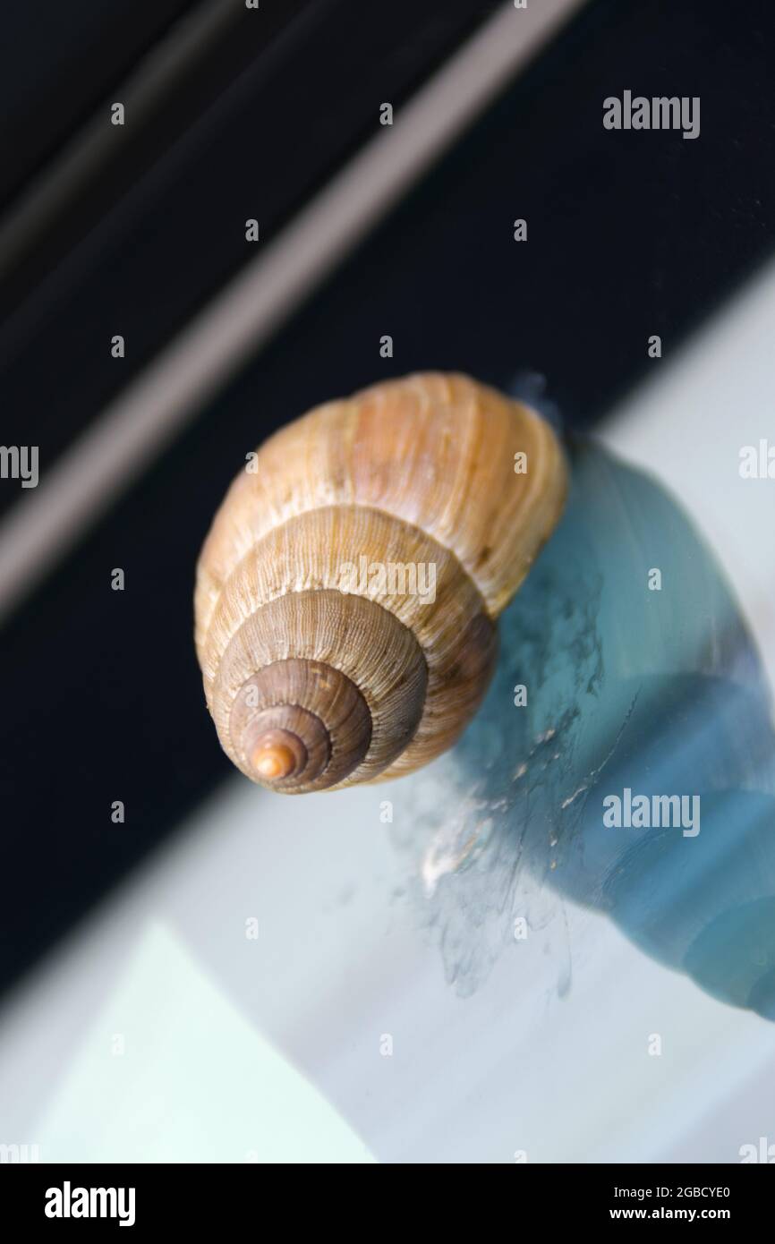 Rain on window slow motion hi-res stock photography and images - Alamy