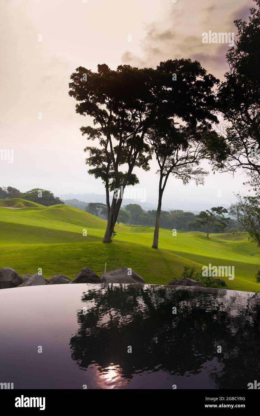 Silhouette reflection in tree silhouette Stock Photo - Alamy