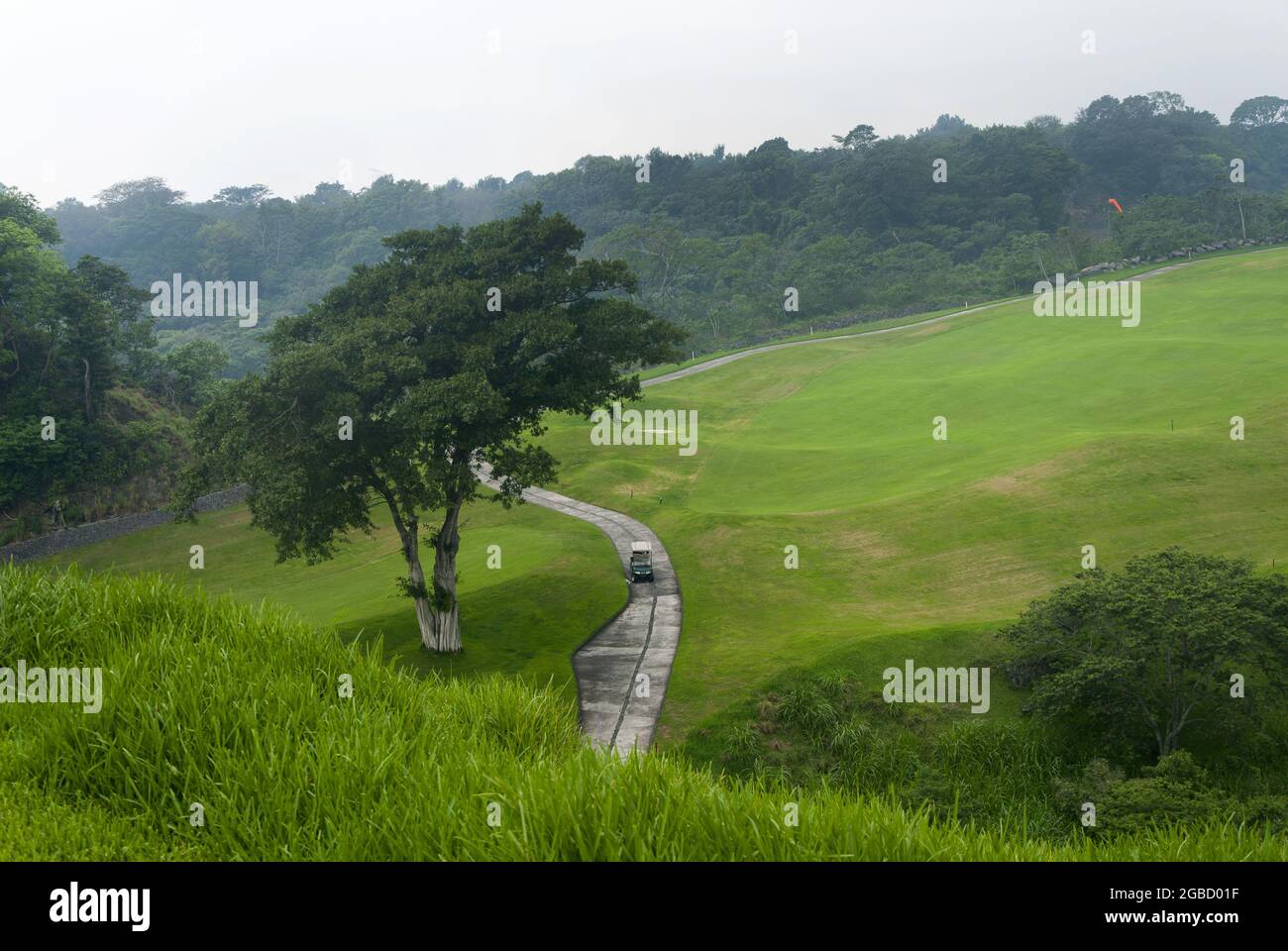 Beautiful golf course illuminated with sunlight Stock Photo - Alamy