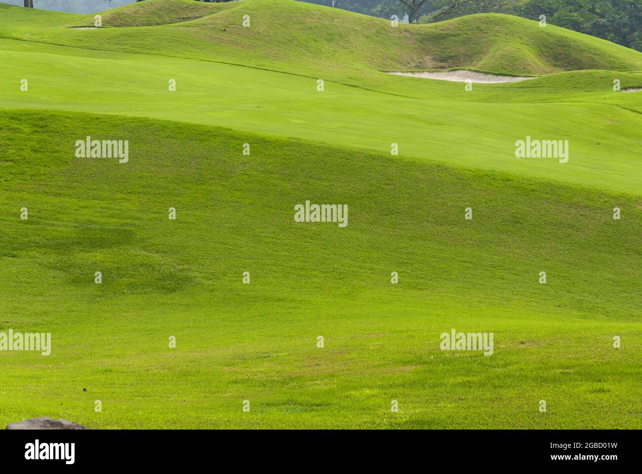 Beautiful golf course illuminated with sunlight Stock Photo - Alamy