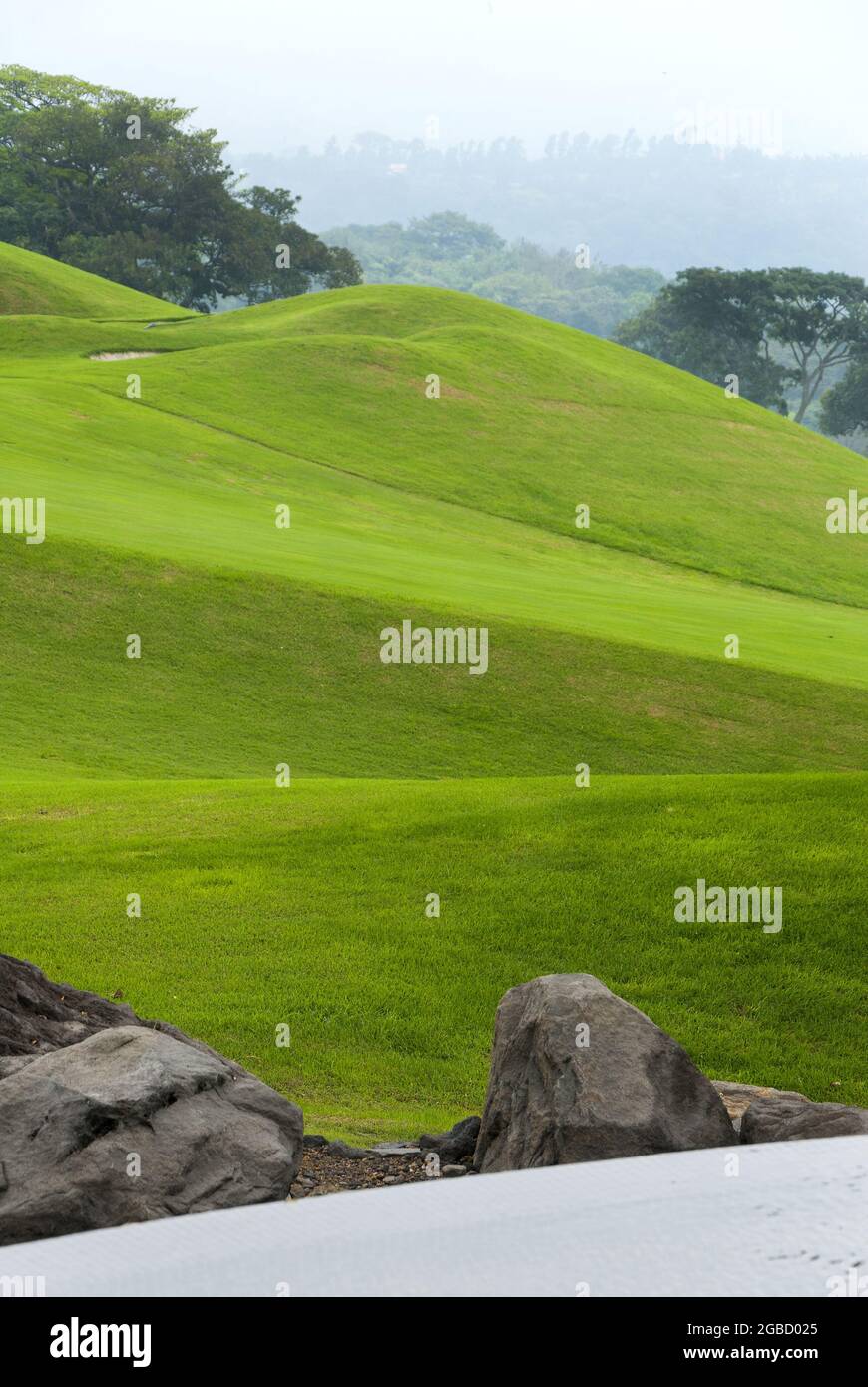 Beautiful golf course illuminated with sunlight Stock Photo - Alamy