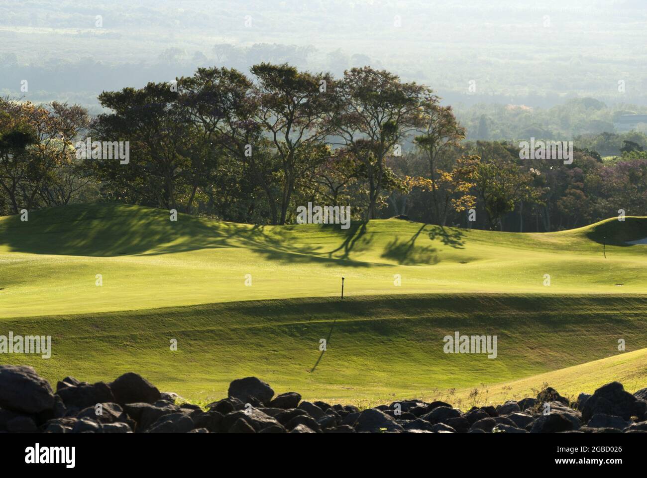 Beautiful golf course illuminated with sunlight Stock Photo - Alamy