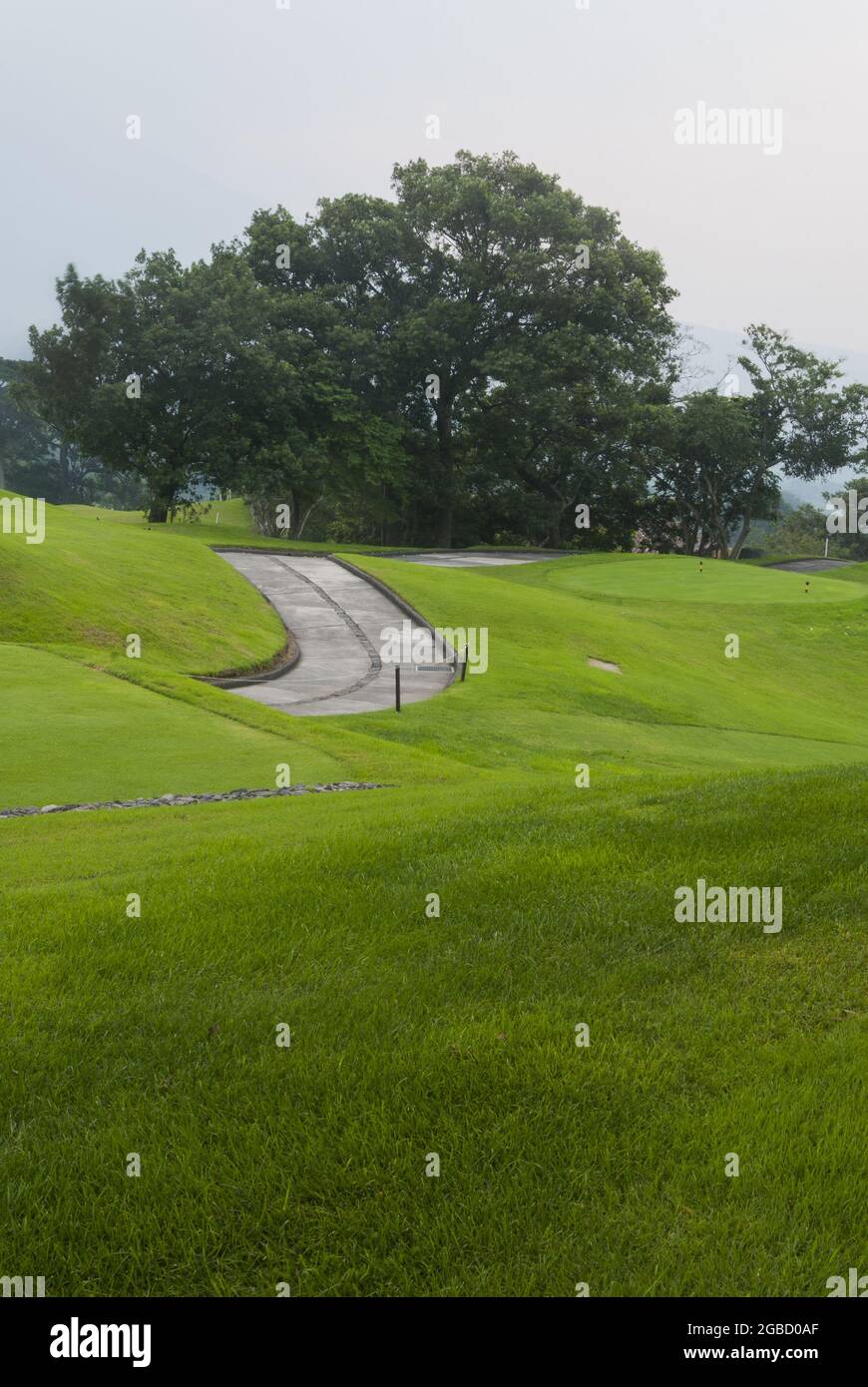 Beautiful golf course illuminated with sunlight Stock Photo - Alamy