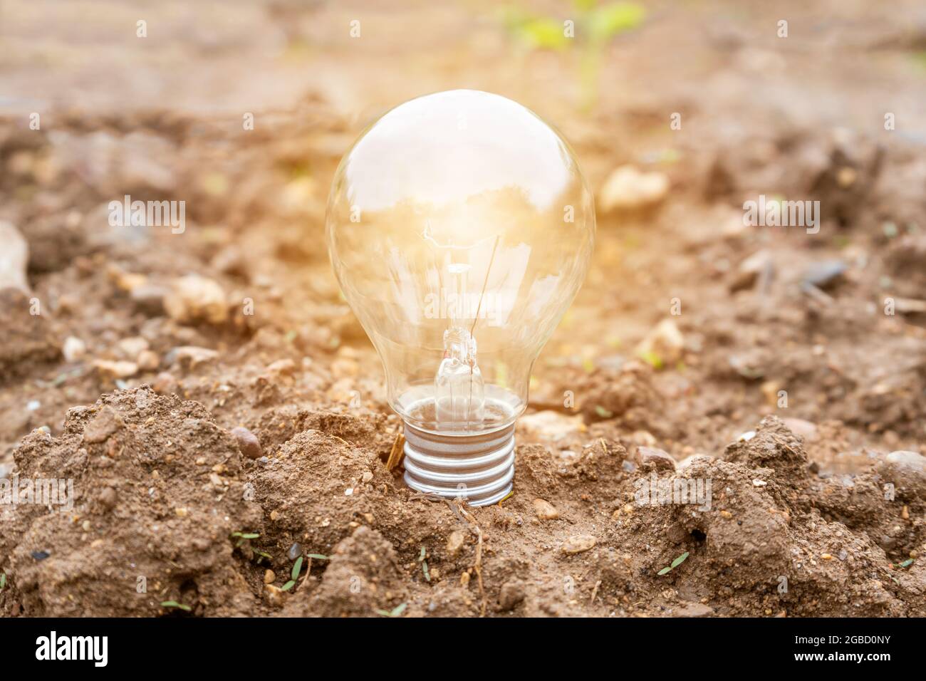 Saving energy and environment concept.Light bulb glowing in soil Stock ...