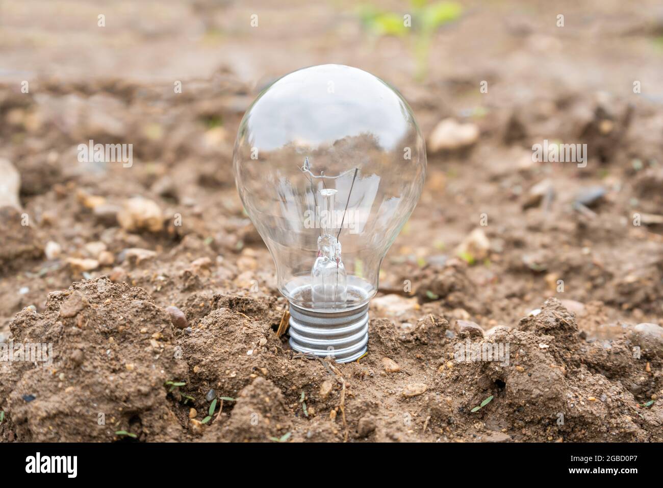 Light bulb in soil .Green eco energy concept Stock Photo - Alamy