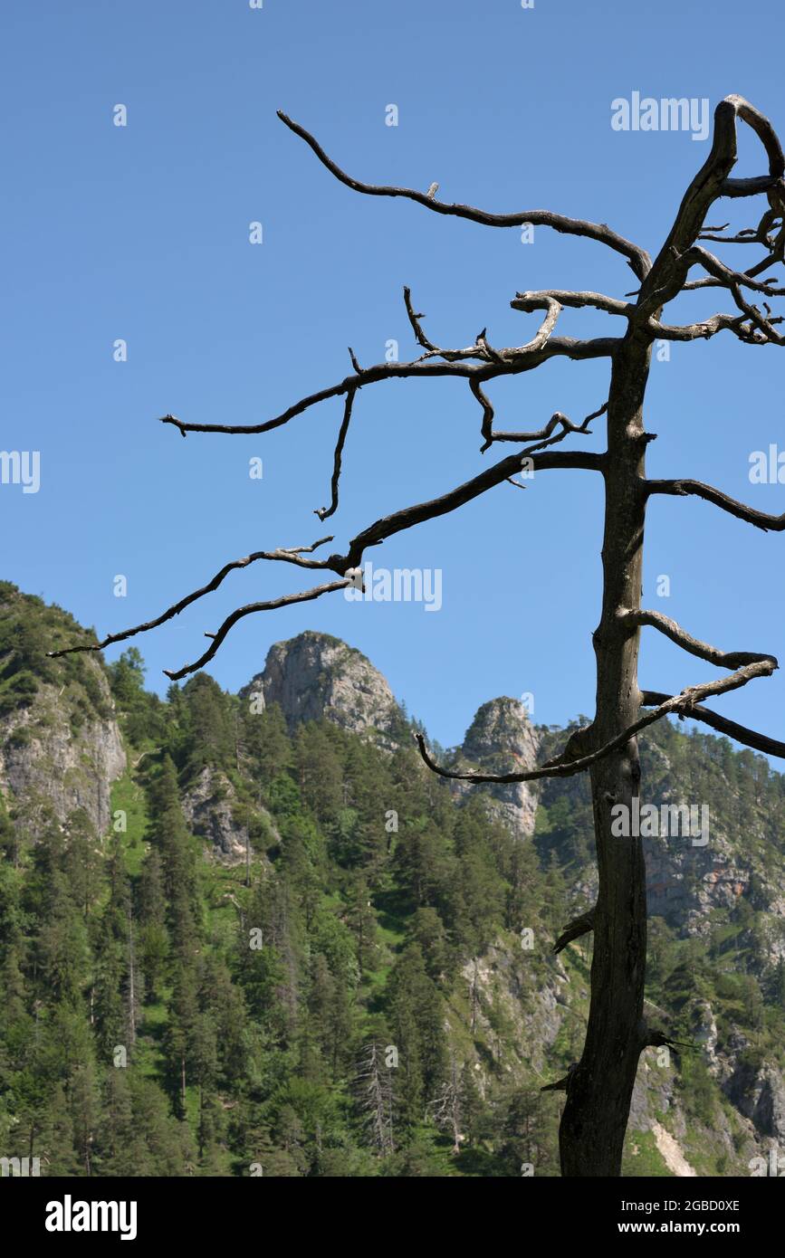 Sleeping witch hi-res stock photography and images - Alamy