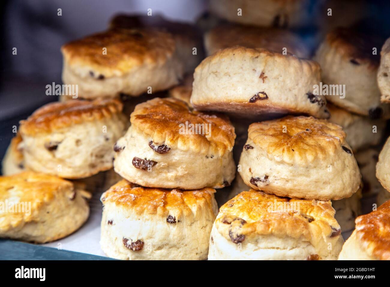 Scones with raisins in the display window of St Ives Bakery, St Ives ...