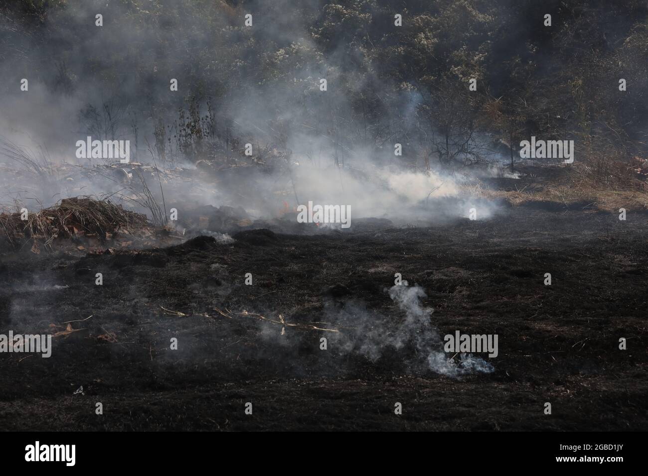 Sofia, Bulgaria - August 3, 2021: A team of firefighters extinguished a ...