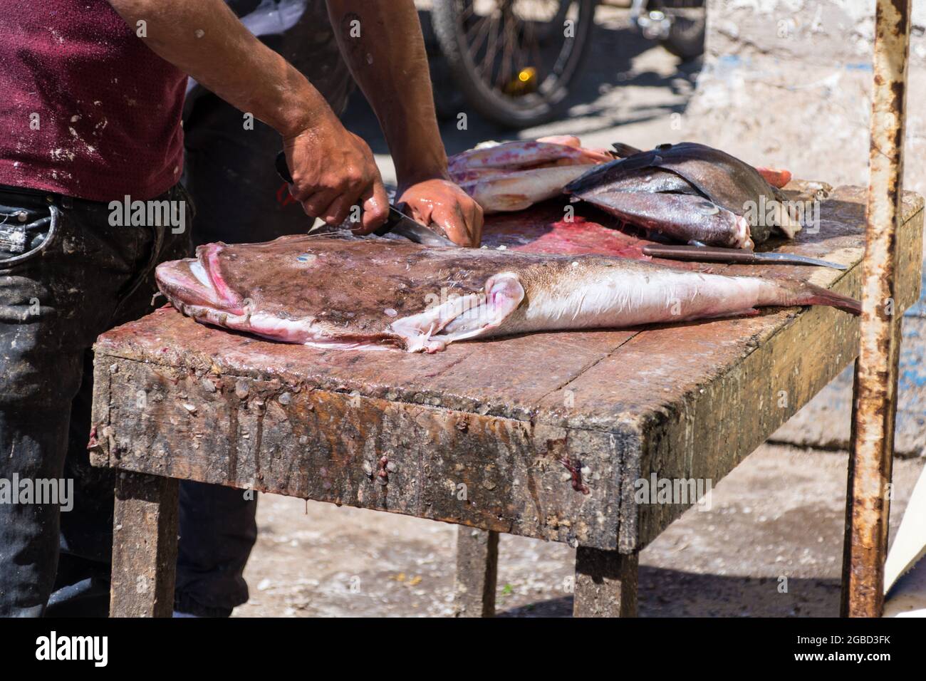 Fisherman is butchering fish at the market Stock Photo - Alamy