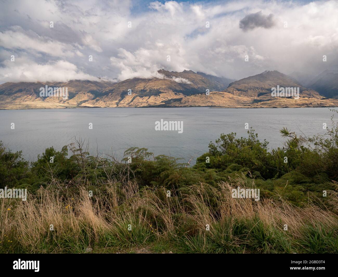 Lake Dunstan in South Island, New Zealand Stock Photo - Alamy