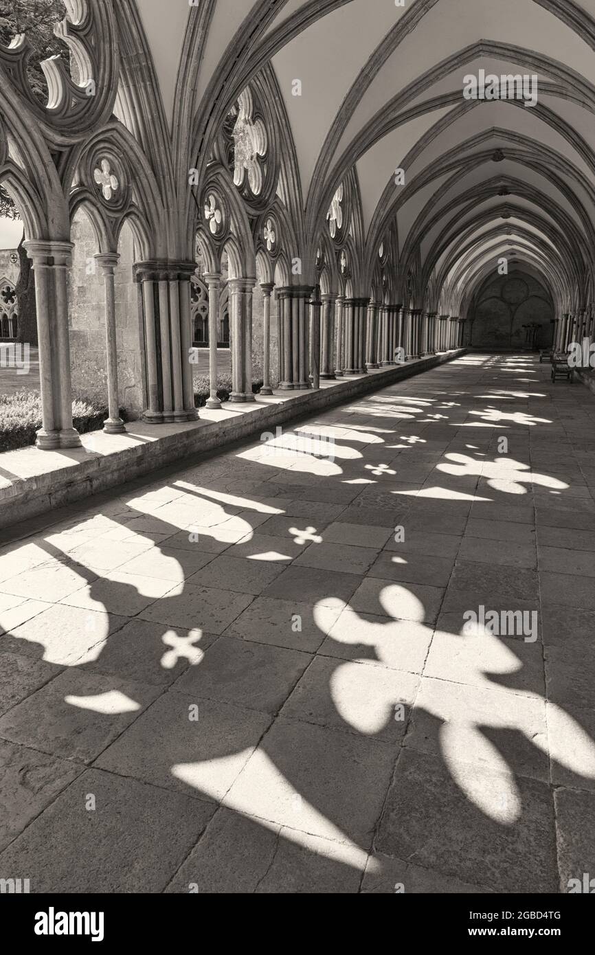 Cloister cloisters light shadow hi-res stock photography and images - Alamy