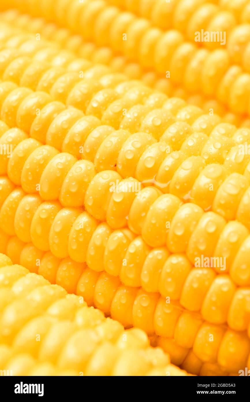 Texture Of Wet Ripe Corn Stock Photo - Alamy