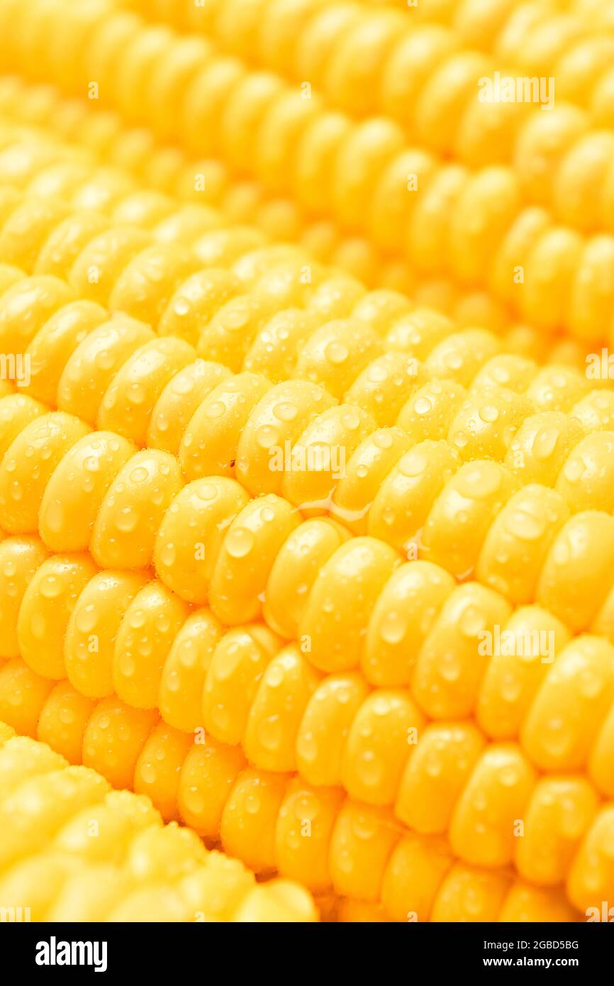 Corncob texture hi-res stock photography and images - Alamy