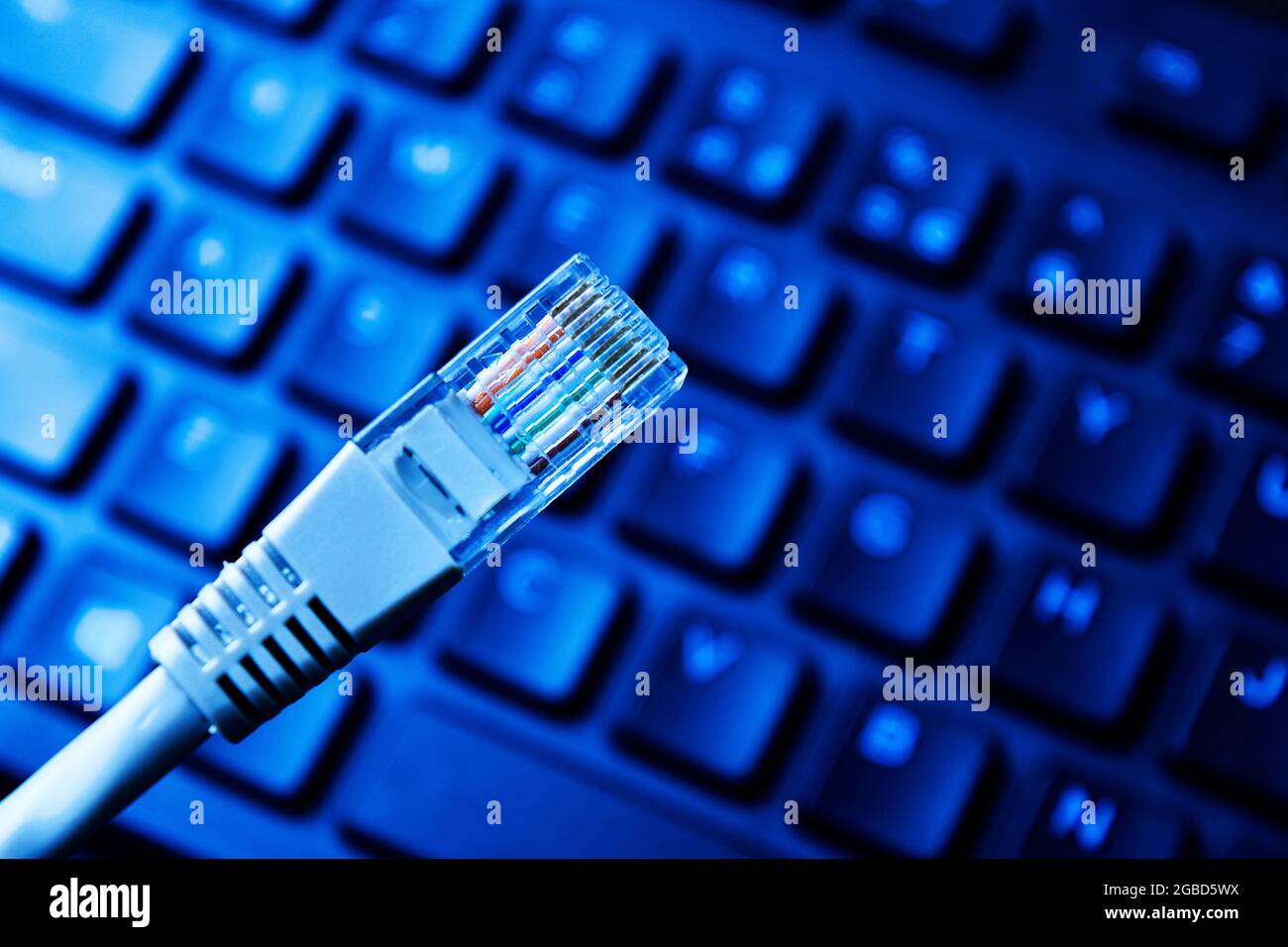 Rj45 connector hi-res stock photography and images - Alamy