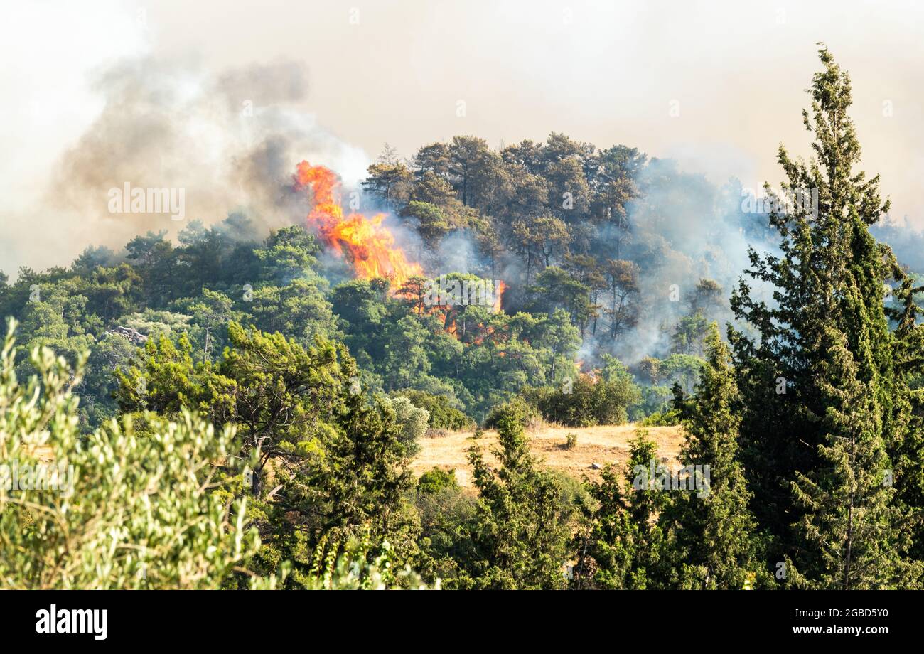Forest fire in Hisaronu neighbourhood of Marmaris resort town in Turkey ...