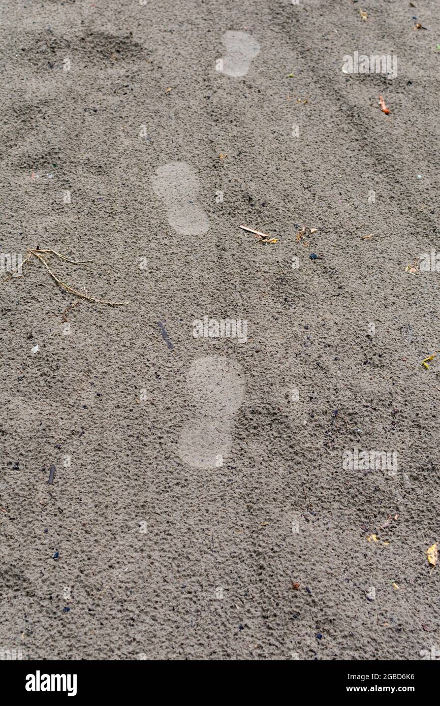 Multiple footprints on wet sand after rain. Footprints in the wet sand ...
