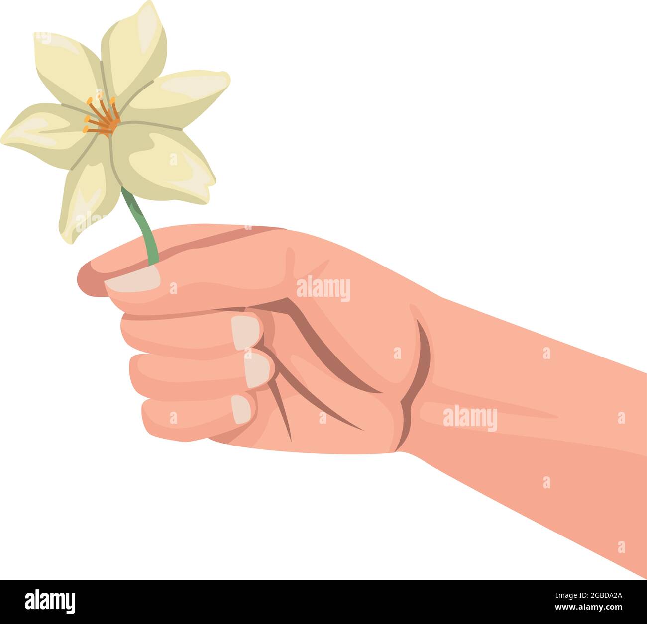 hand with flower Stock Vector Image & Art - Alamy