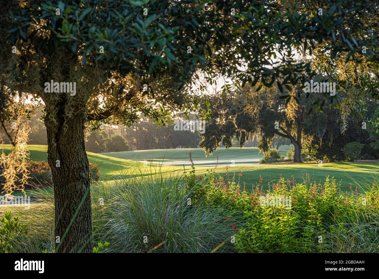 TPC Sawgrass Stadium Course, home of THE PLAYERS golf championship, at ...