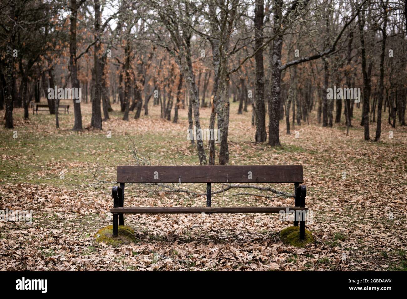 Lonely bench hi-res stock photography and images - Alamy