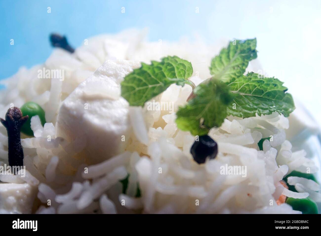 Indian rice pulao hi-res stock photography and images - Alamy