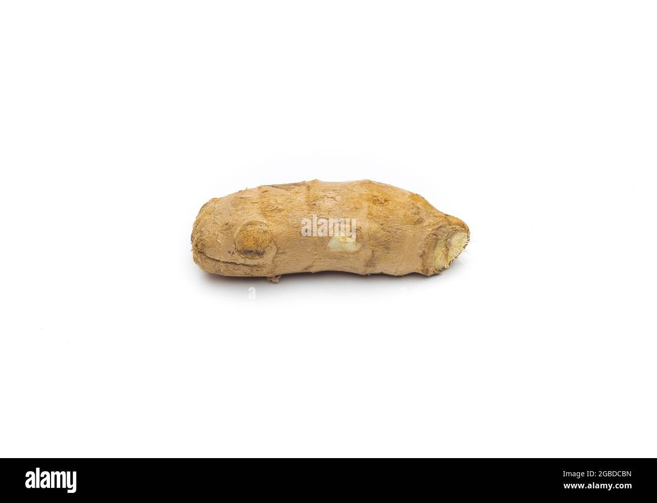 One piece of fresh ginger Cut Out Stock Images & Pictures - Alamy