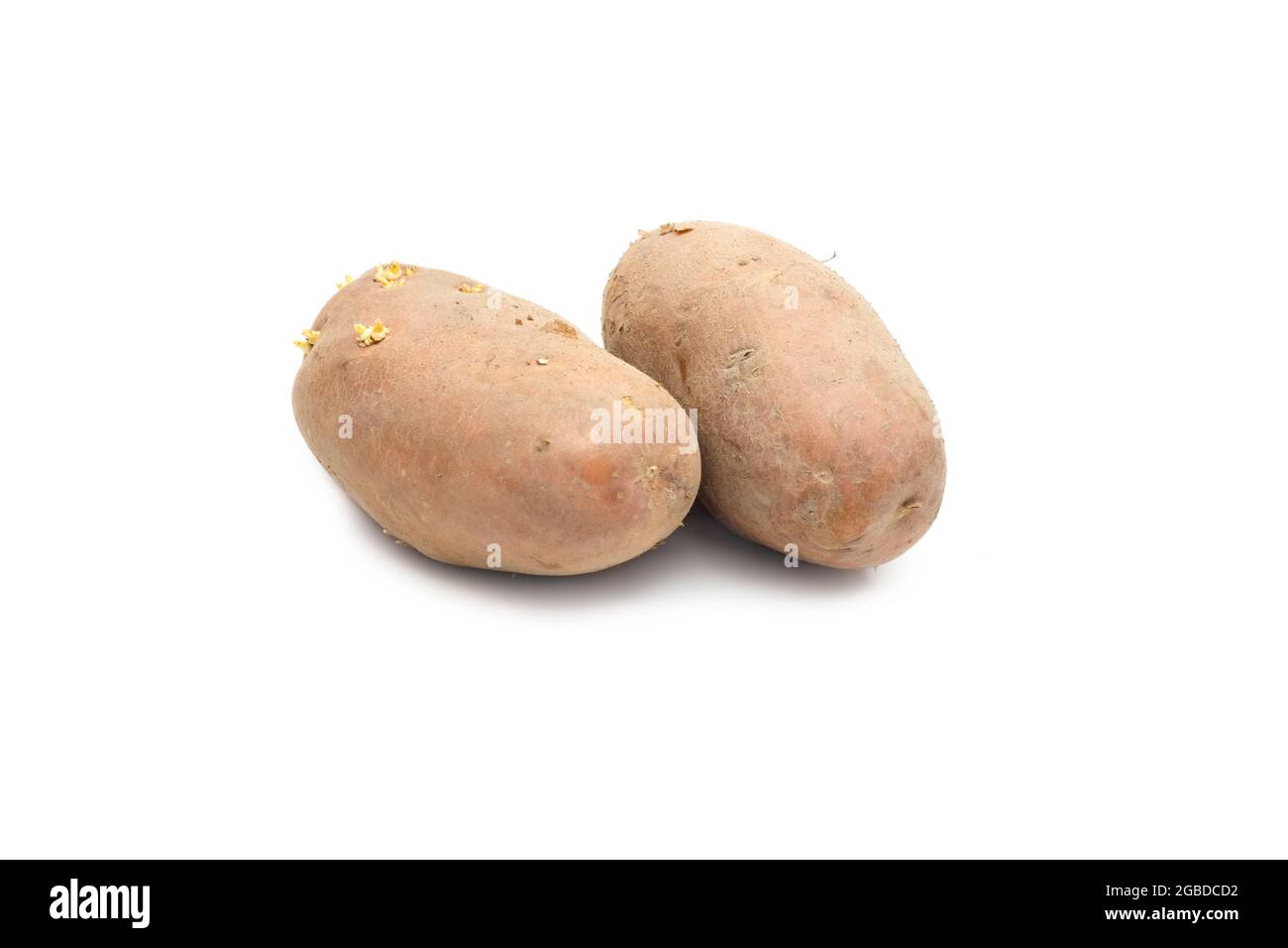 Two fresh potatoes with growing buds on isolated white background Stock ...