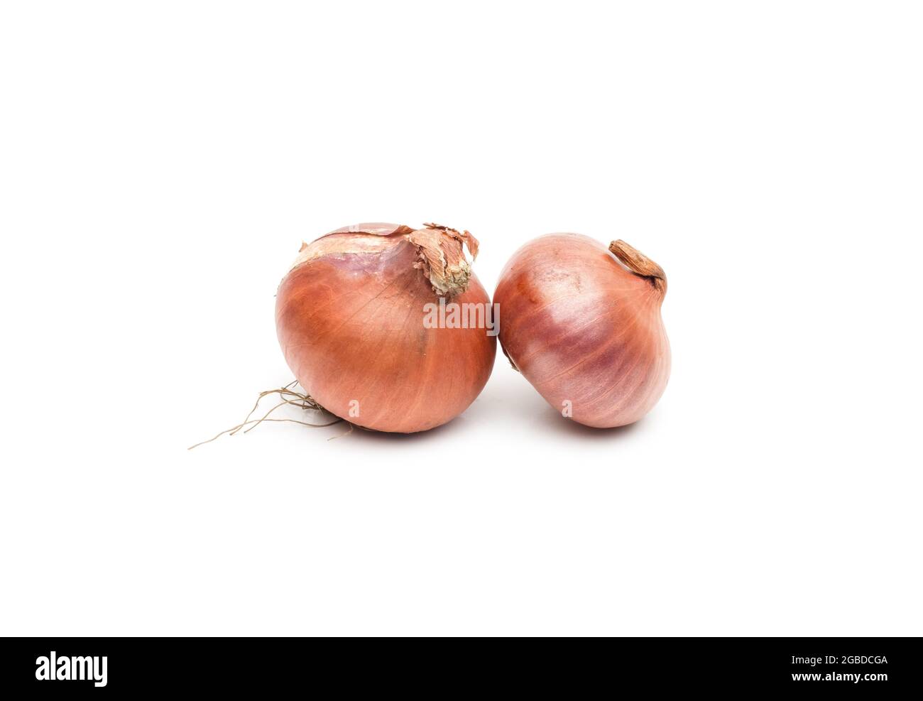 Two isolated onions close up on white background Stock Photo - Alamy