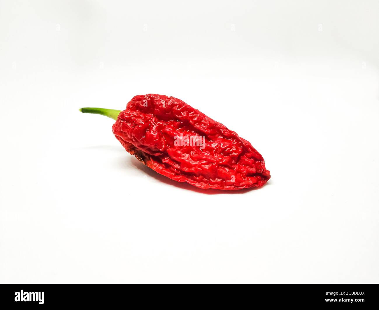bhut jolokia ghost pepper isolated on white background. fresh Carolina ...